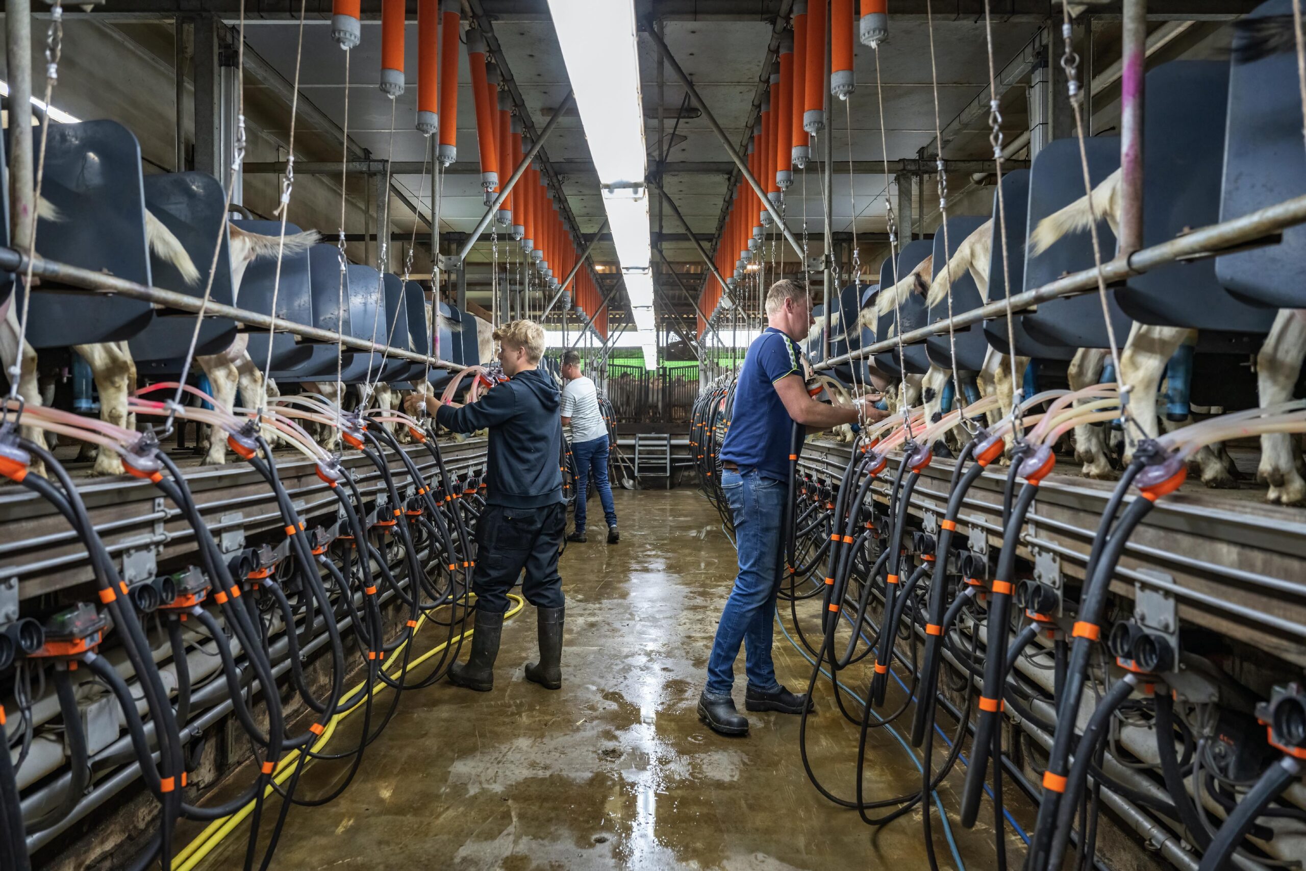 Melkgeitenhouders Schuurman uit Oene over de doorontwikkeling van hun ...
